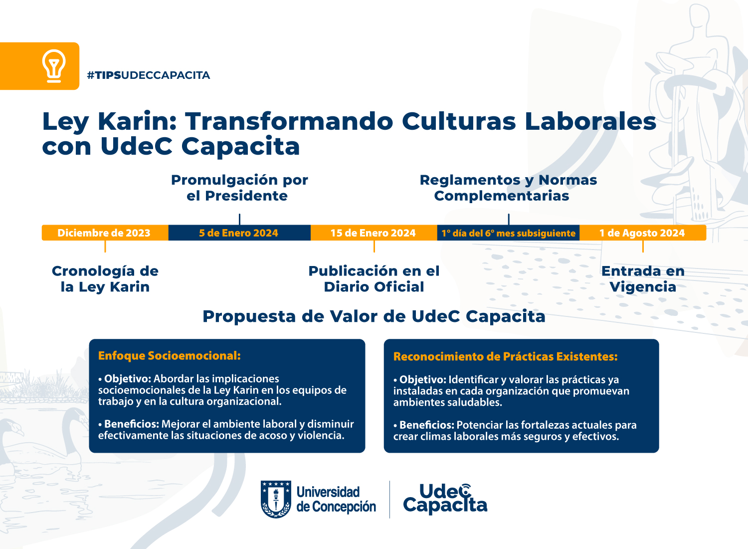 Abordemos la Ley Karin desde la prevención y sus implicancias ...